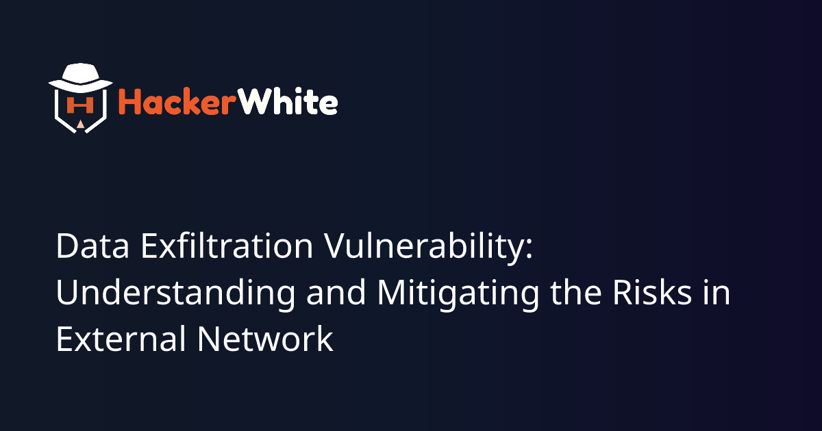 Data Exfiltration Vulnerability: Understanding & Mitigating the Risks in External Network ...